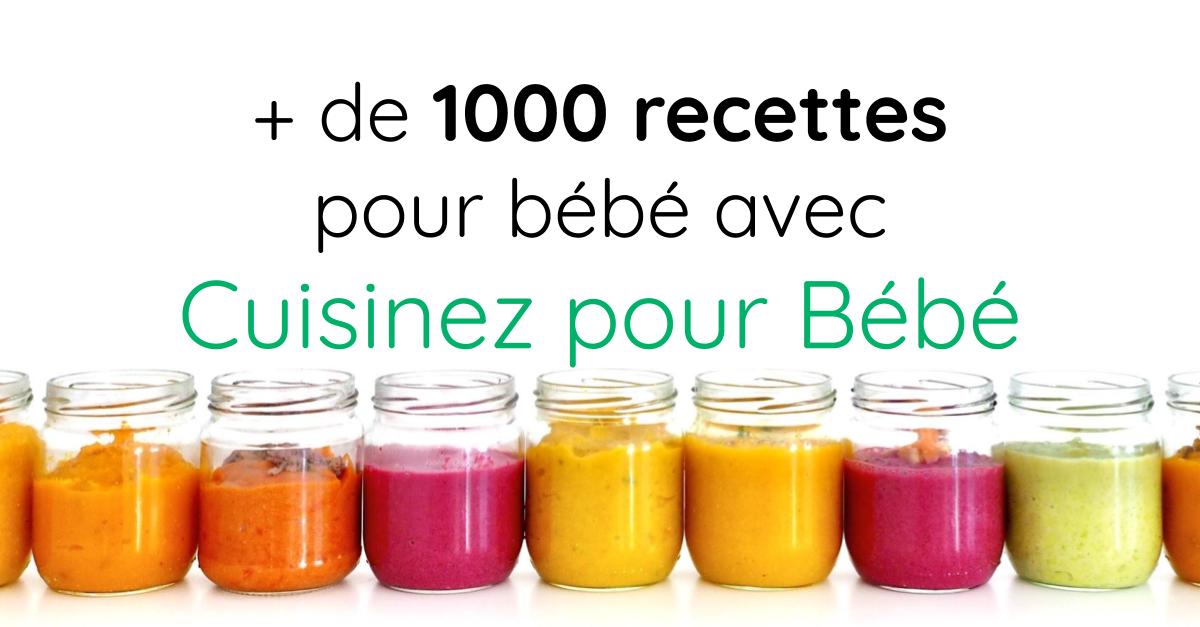 Recettes pour bébé : + de 1000 recettes pour régaler bébé et toute la ...