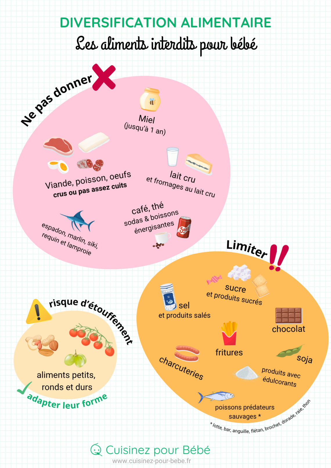 Quels sont les aliments interdits pour bébé ? - Cuisinez pour bébé