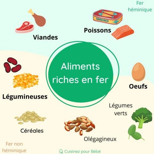 Les aliments riches en fer pour bébé : prévenir les carences ...